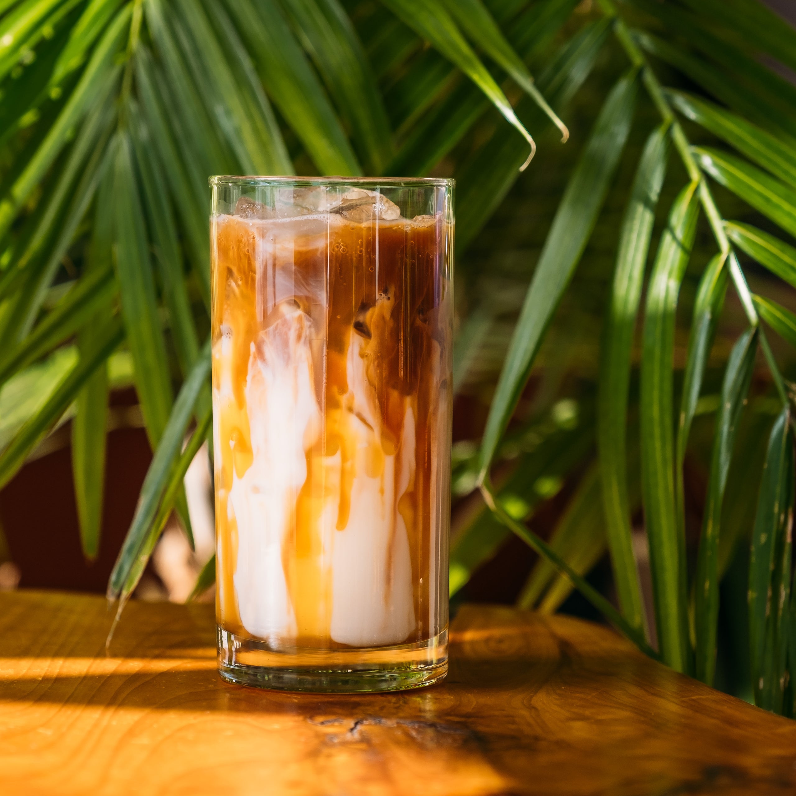 The Night Howler | My Site